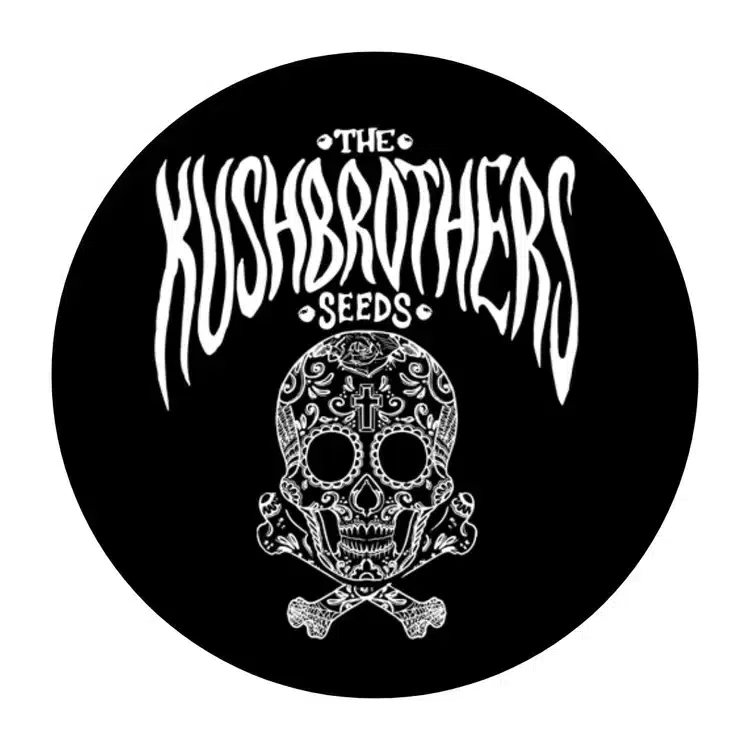 The Kush Brothers - Semas Baratas
